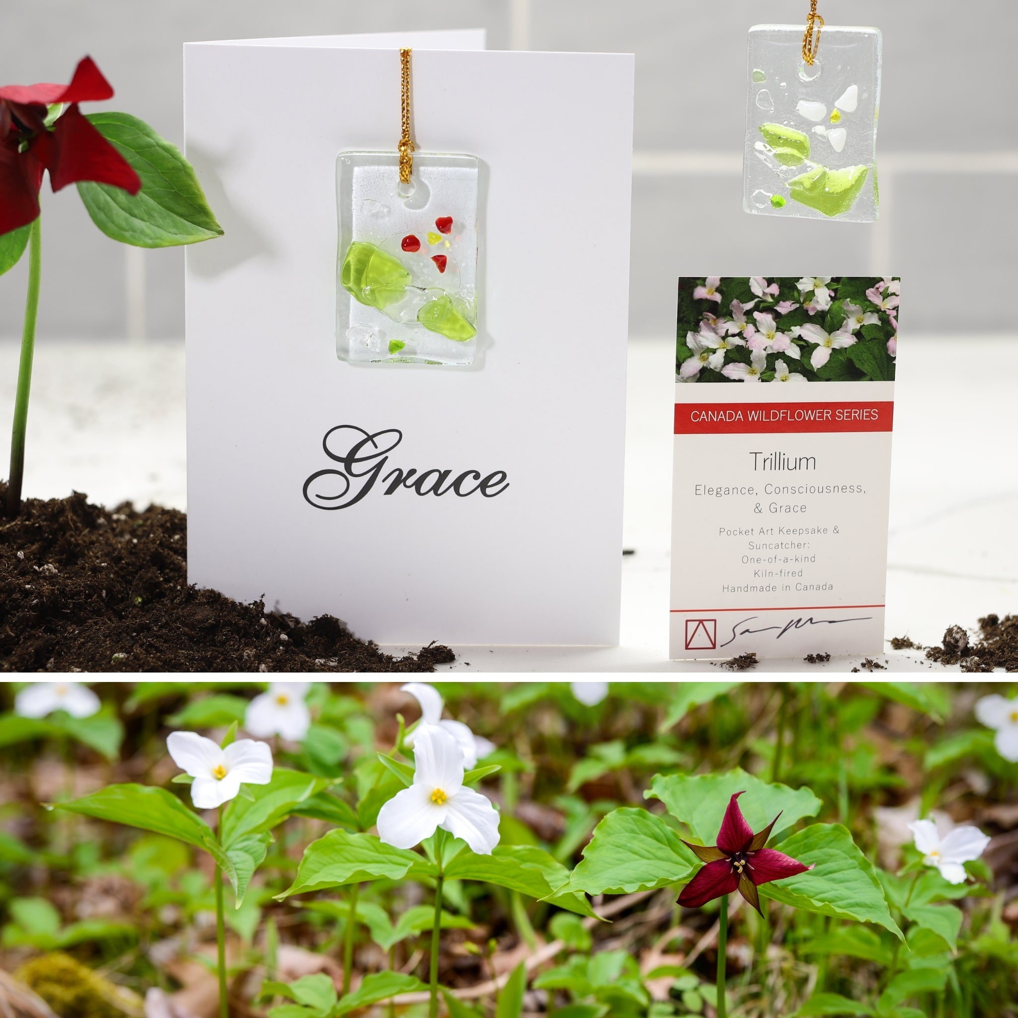 Glass Trillium Keepsake & Card – Artglas