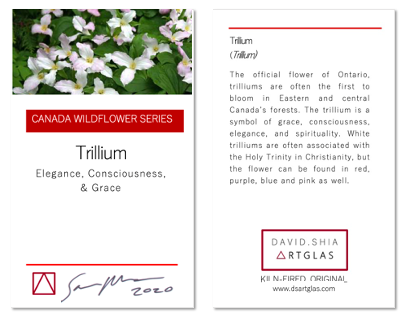 Glass Trillium Keepsake & Card – Artglas